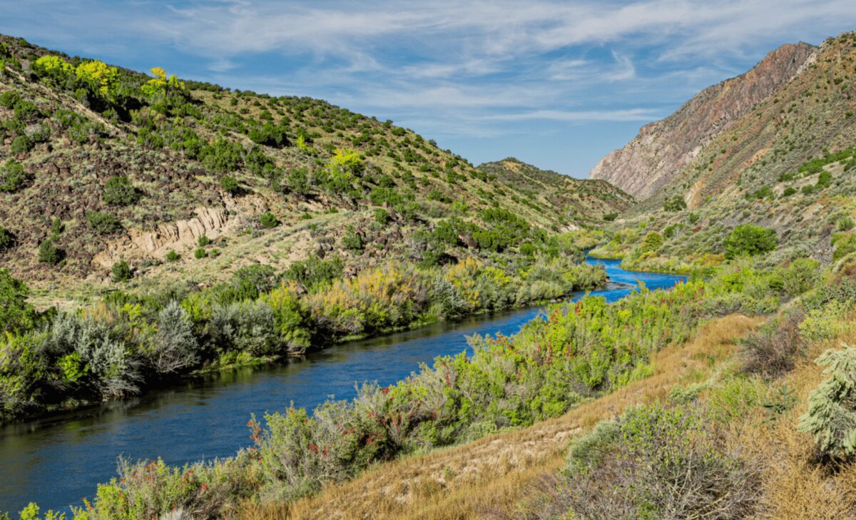 How Your Business Can Protect the Rio Grande River | McAllen, TX